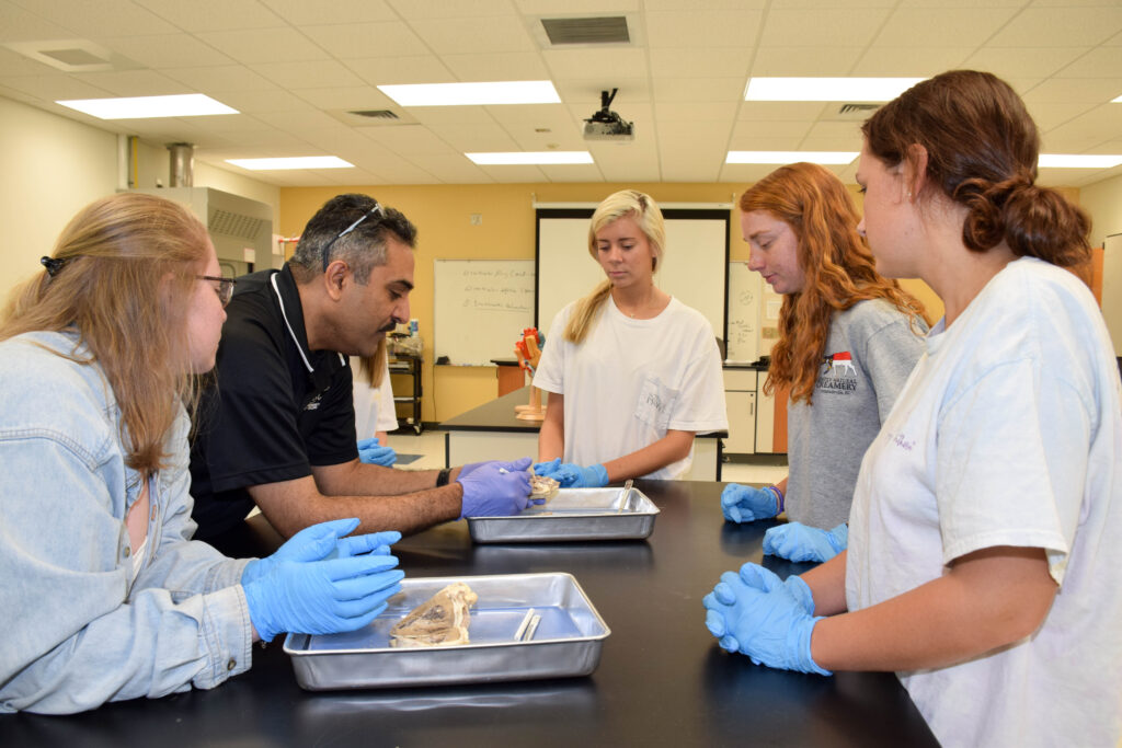 Academics - Nash Community College